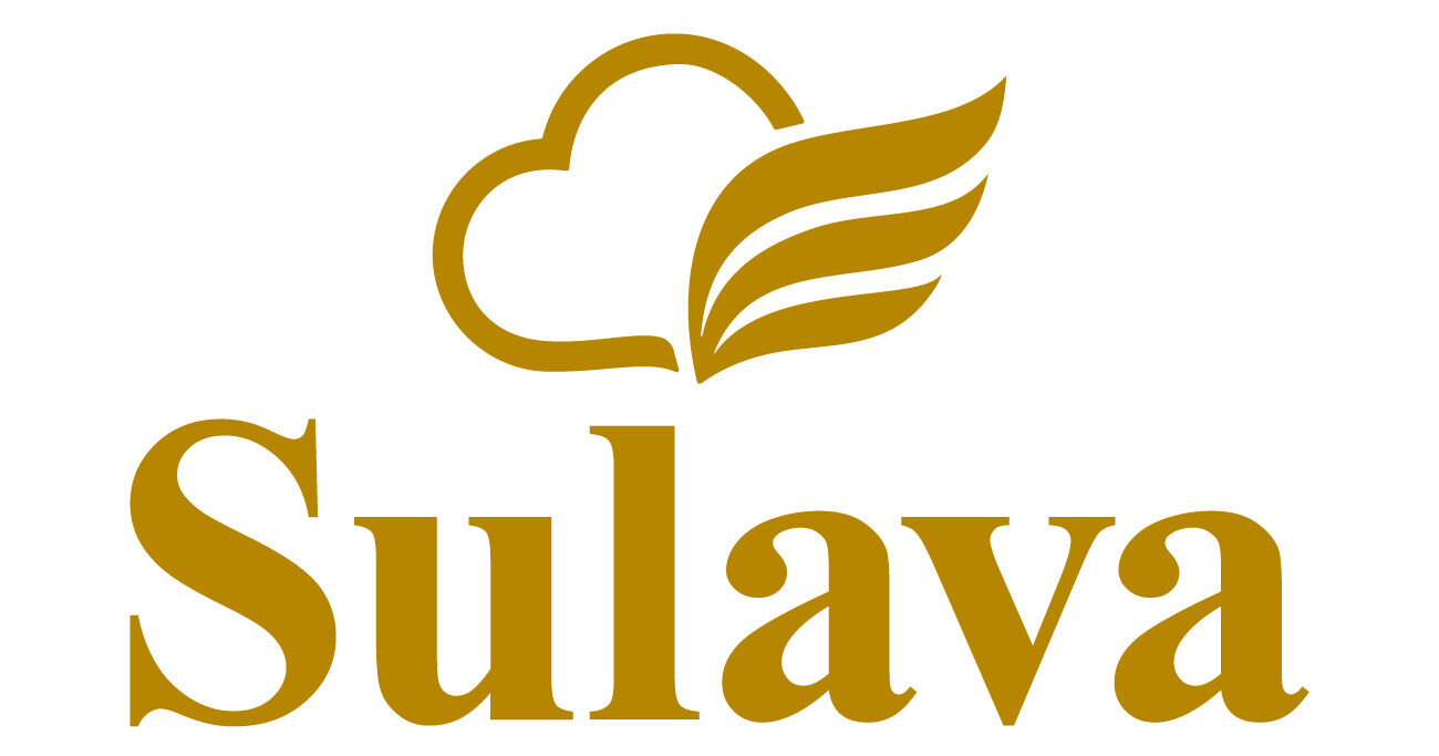 Sulava MEA - We Bring AI to All